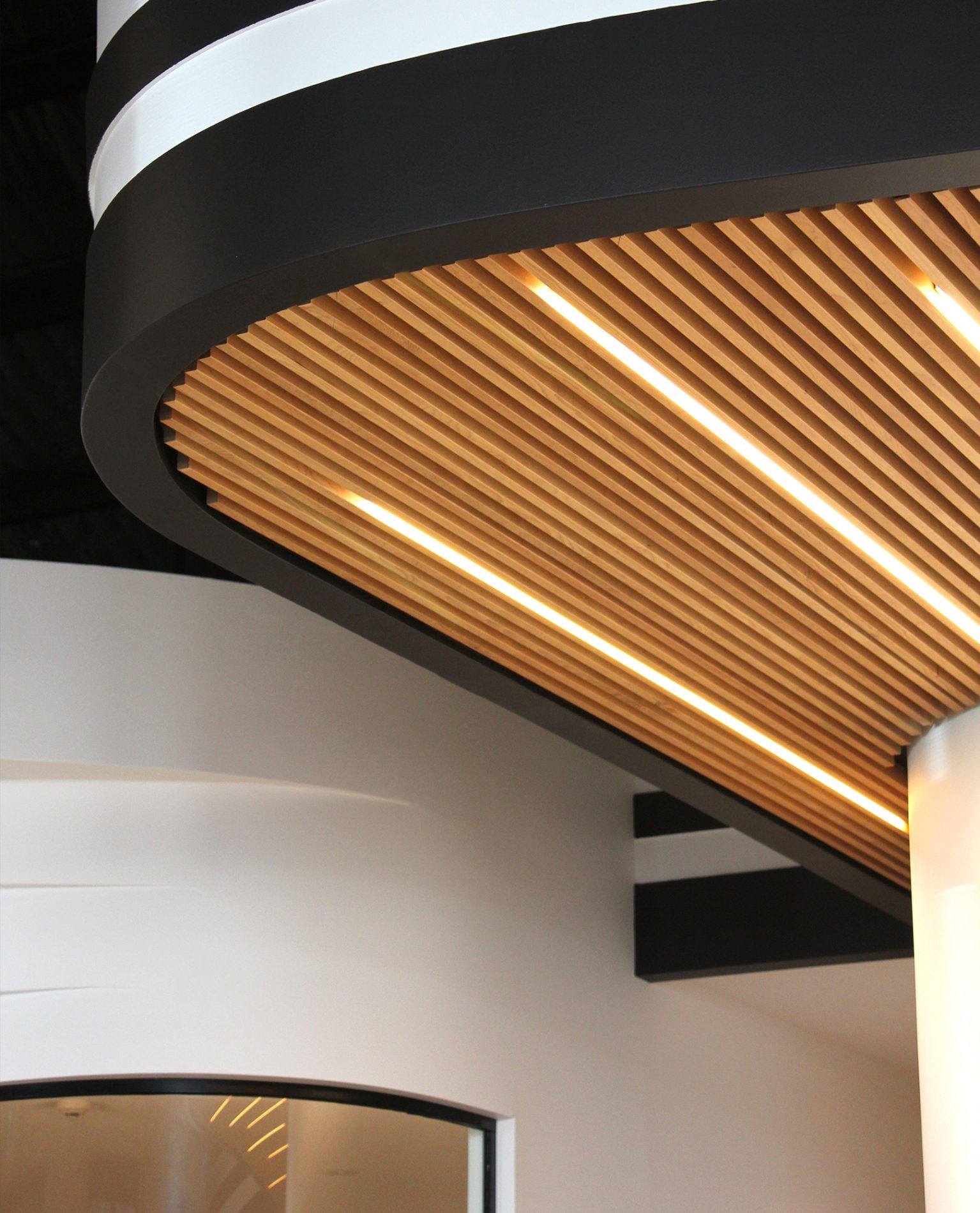 Selph Health Studios | Sgammotta Architects | Contemporary Design